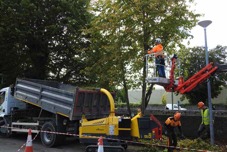 Home - Elm Landscaping & Tree Surgery Services